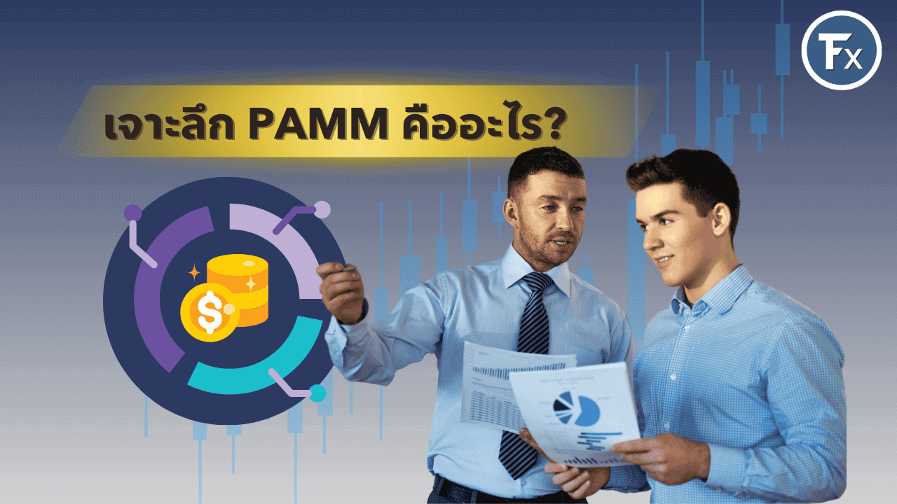 เจาะลึก PAMM คืออะไร? ทางเลือกของการลงทุน Forex - ThaiForexBroker